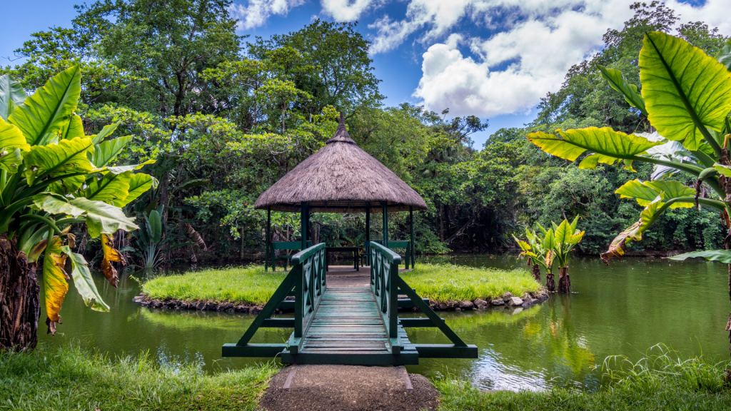 Los poéticos, alucinantes jardines de las Islas Mauricio